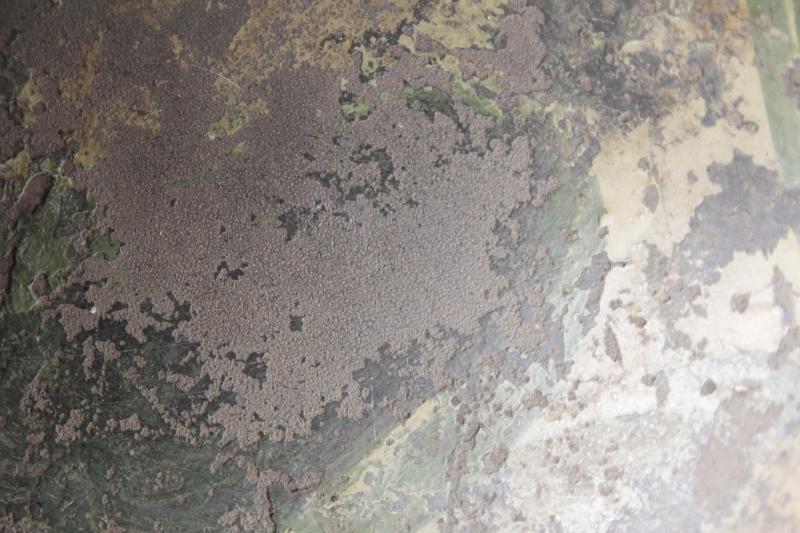 CS Militaria | WW2 German M40 'Tortoise Shell' Camouflage Helmet