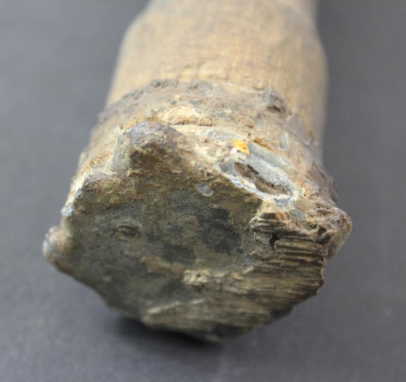 CS Militaria | WW1 German Training Stick Grenade
